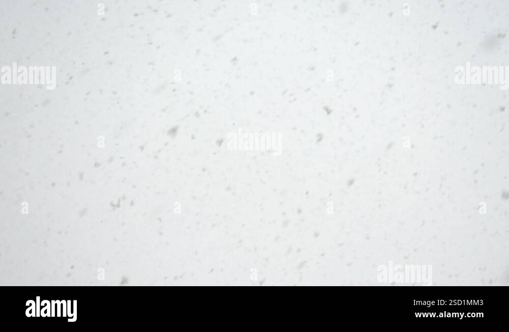 Snow is falling fast against the sky Stock Video Footage - Alamy