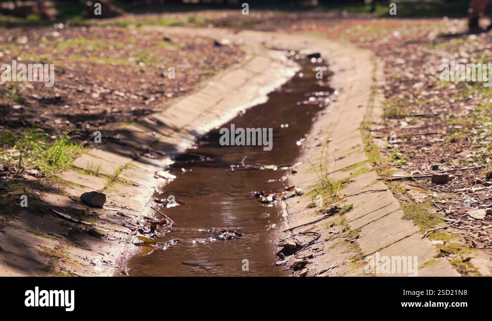 Sewage water flowing in the park. Dirty water polluted with toxic ...
