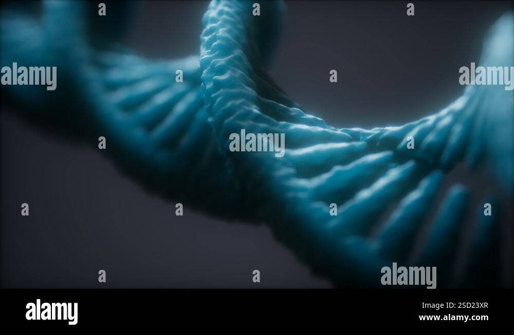 loopable structure of the DNA double helix animation Stock Video ...