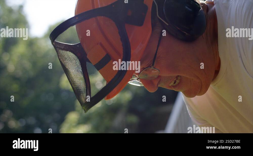 Older man wearing tree cutting hard hat prepares chainsaw on ground ...