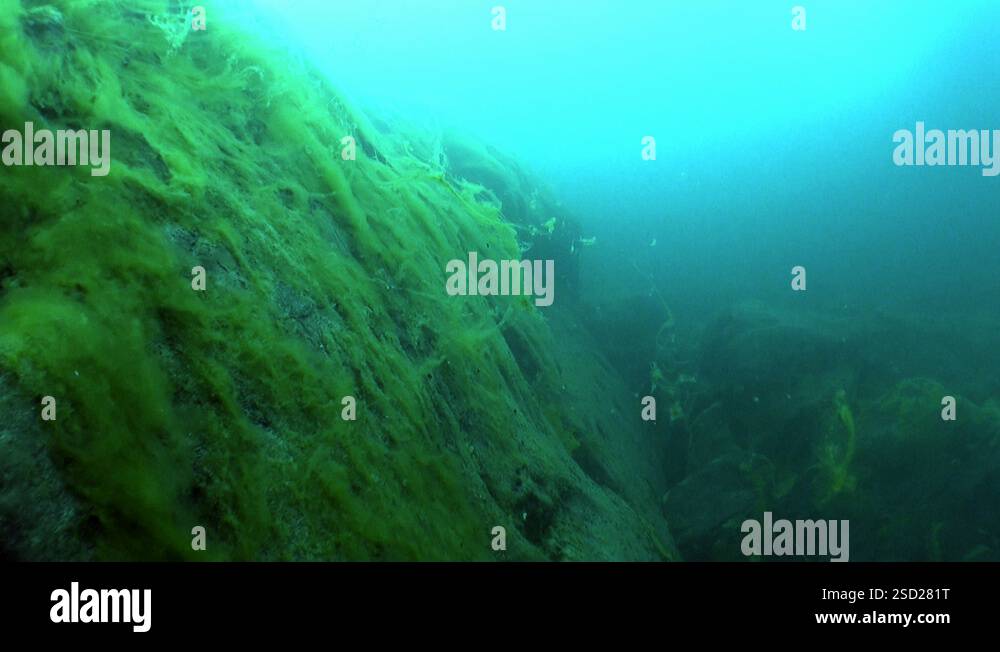 Underwater landscape of clear transparent ice under cold water of lake ...