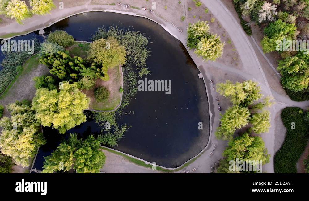Aero, top view. green trees, walking paths and a lake in the middle of ...