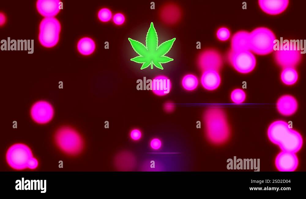 Animation with a marijuana leaf growing and glowing on pink and black ...