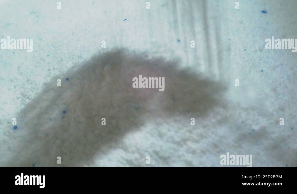 White dry washing powder is poured into the container Stock Video ...