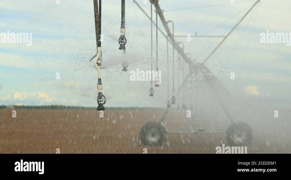 Pivot sprinkler system irrigating crops. Irrigation pivot system ...
