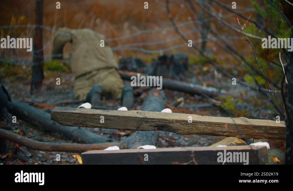 Dead soldier lying on the iron wire - piece of log on a foreground ...