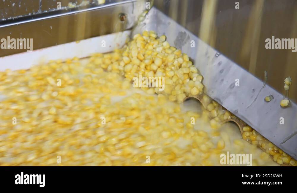 Corn processing factory Stock Video Footage - Alamy