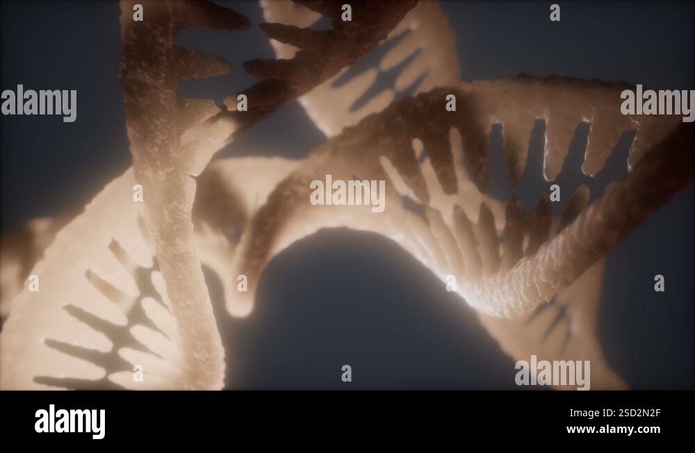 loop double helical structure of dna strand close-up animation Stock ...