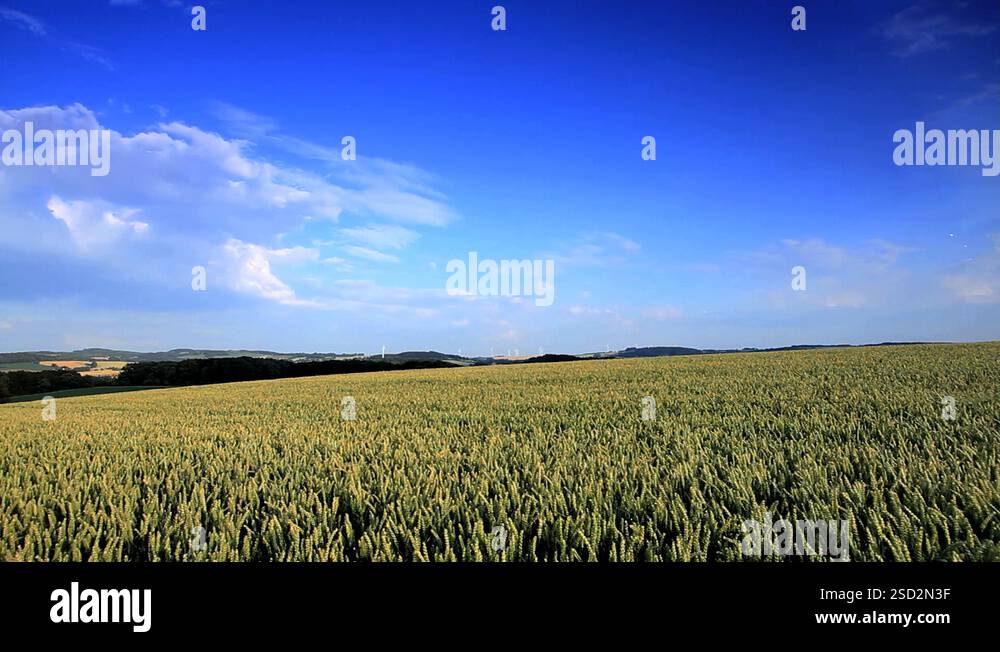 Clean Environment Stock Video Footage - Alamy