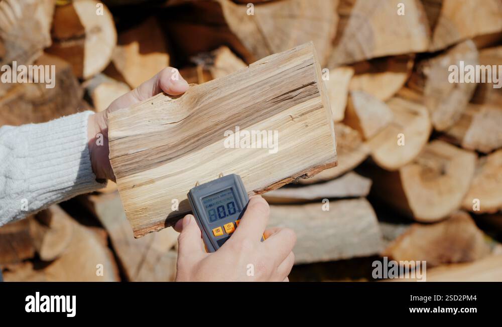 A man measures the humidity of firewood with a moisture meter ...