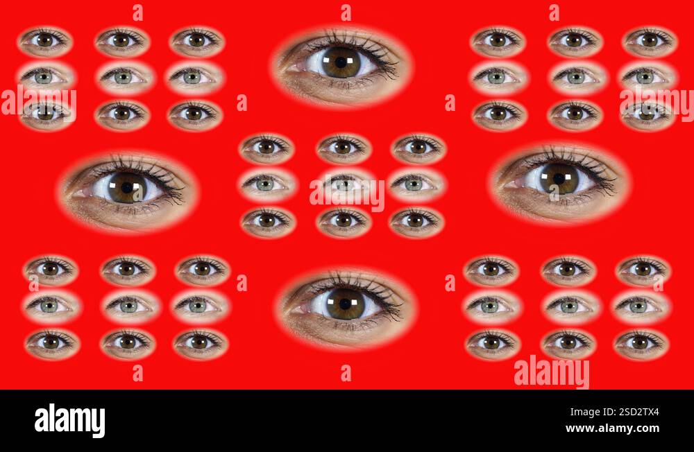 A lot of eyes. Two types of female eyes. A background of the eyes. Eyes ...