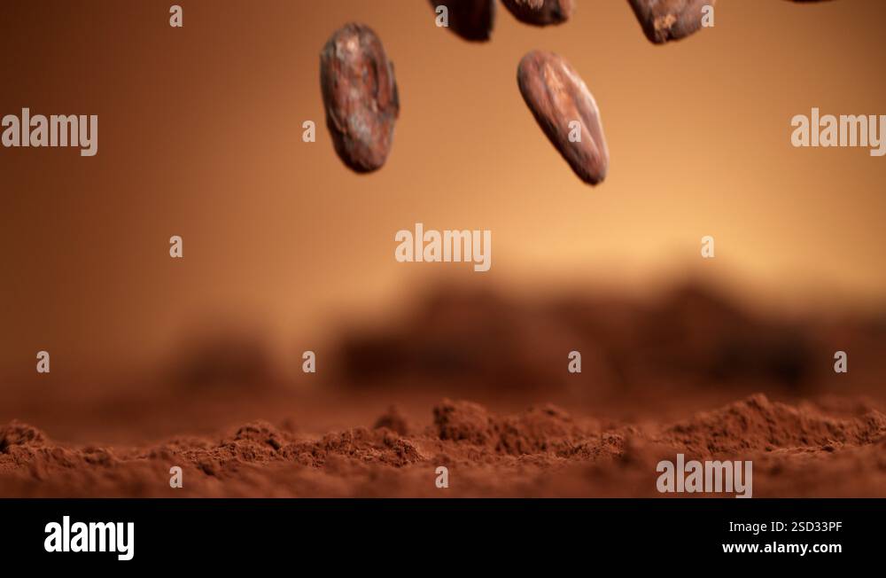 Super Slow Motion Shot of Raw Chocolate Beans Falling into Cocoa Powder ...