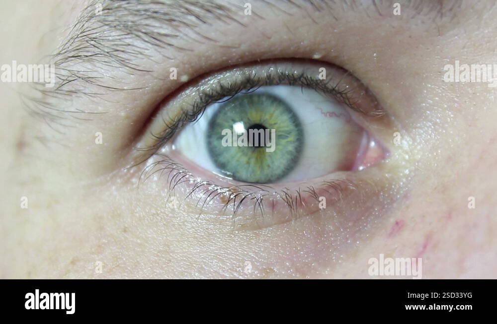 Opening and blinking eyes Gray-green color of a young handsome guy ...