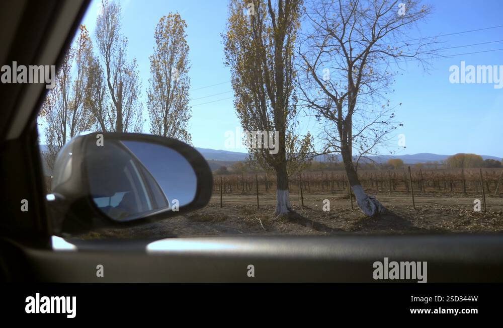 view from the side window of the car on the rearview mirror while ...