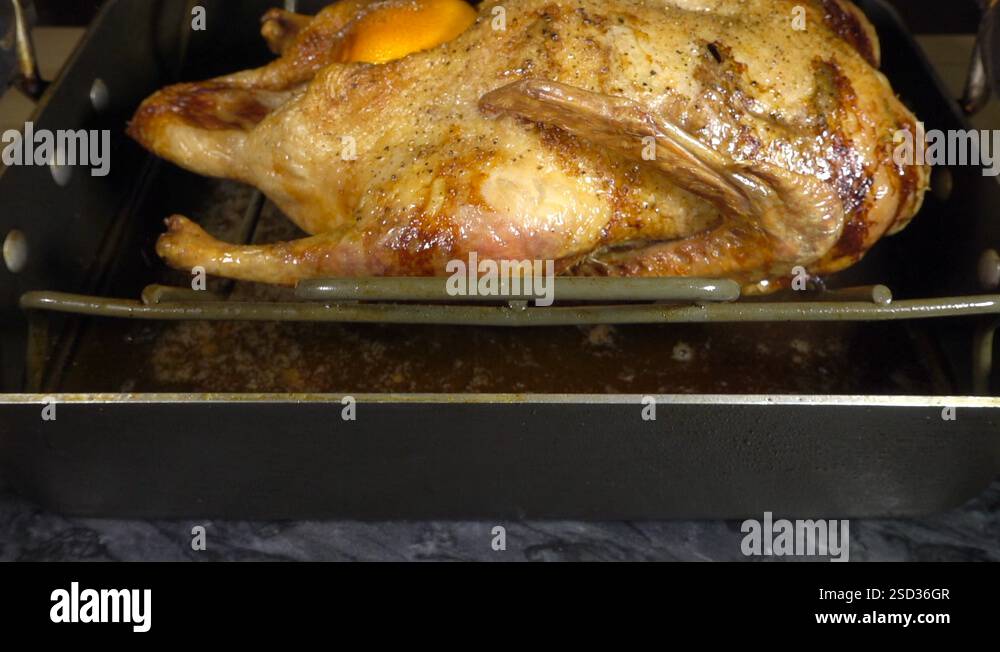 Slow motion - Cooked whole duck on an oven rack Stock Video Footage - Alamy