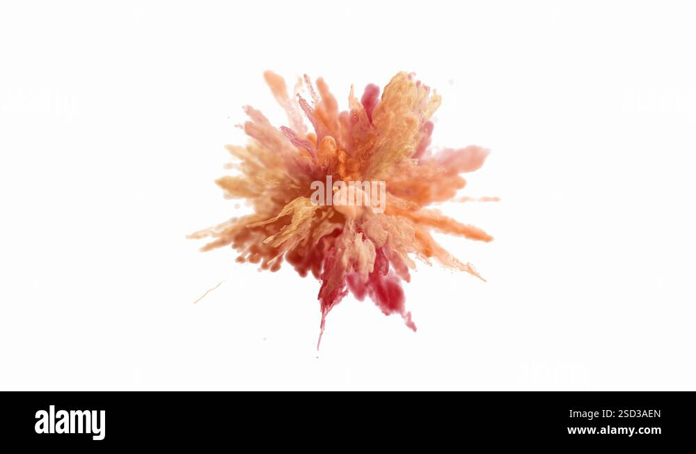 Cg animation of color powder explosion on white background Stock Video ...