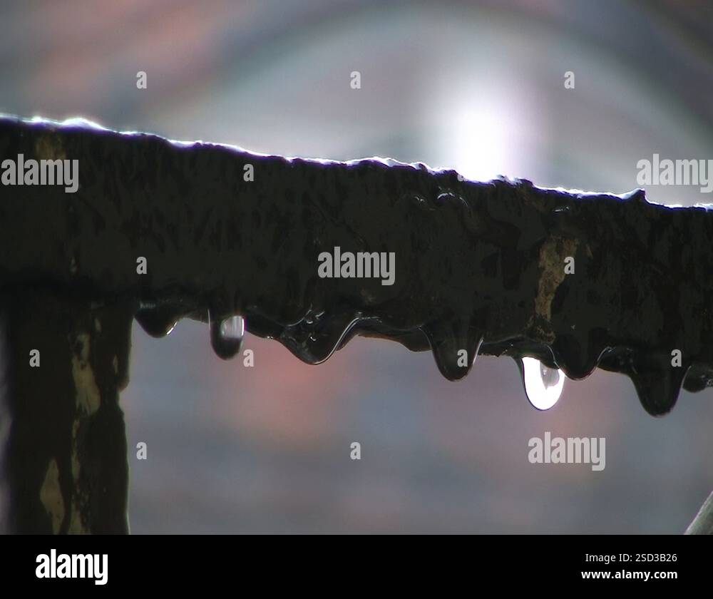 Hanging raindrops Stock Video Footage - Alamy