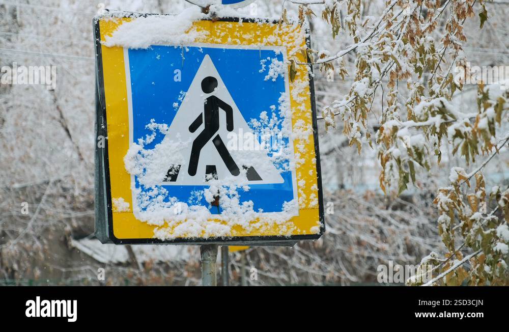 Allowed pedestrian crossing. Road sign blue color of the pointer of ...