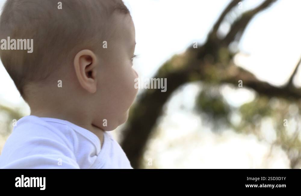 Curious baby infant boy learning about the world in outside park Stock ...