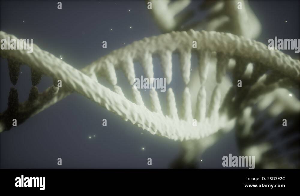 double helical structure of dna strand close-up animation Stock Video ...