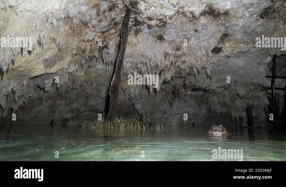 Cave diving in underwater caves of Yucatan Mexico cenotes Stock Video ...