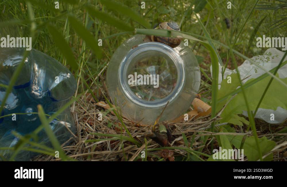 Single use plastic trash in nature probe lens dolly shot moving into ...