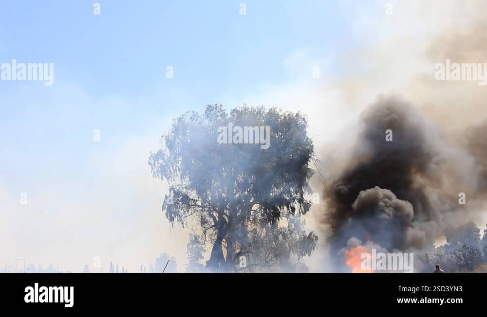 Fireman extinguishing burning grass forest Emergency flames smoke fire ...
