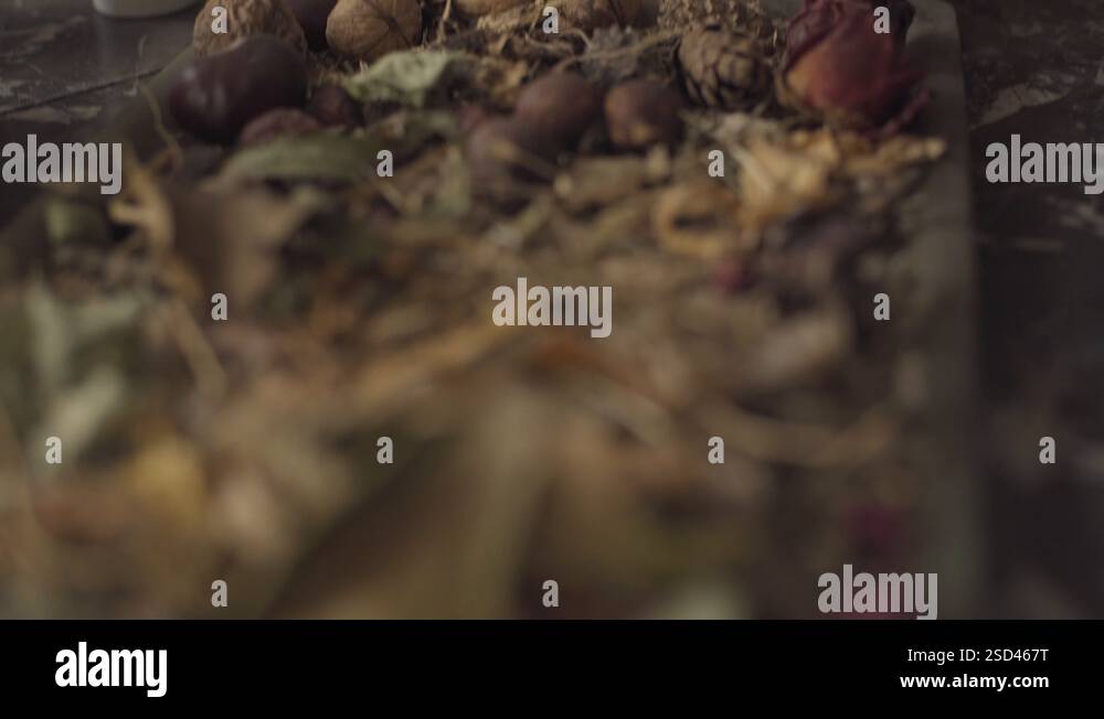 Camera moving up showing dried flowers, nuts and retro style test tubes ...