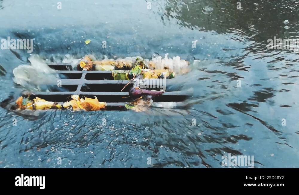 Water from the road drains into the storm drain sewer collector with ...