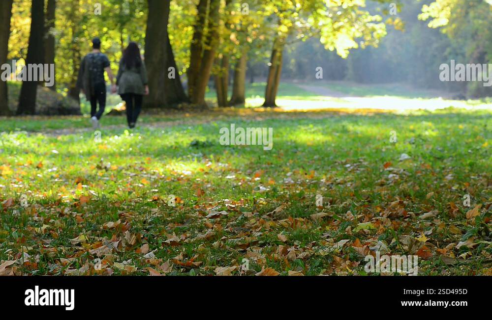 Pair young people in Stock Videos & Footage - HD and 4K Video Clips - Alamy