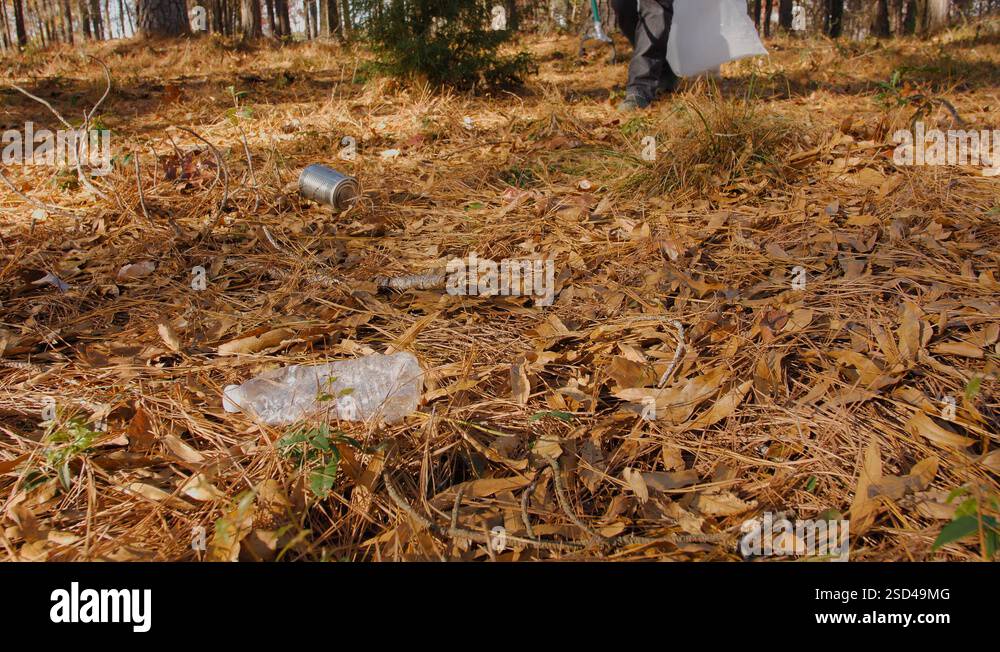 Volunteer worker picking up litter in the woods with trash picker tool ...