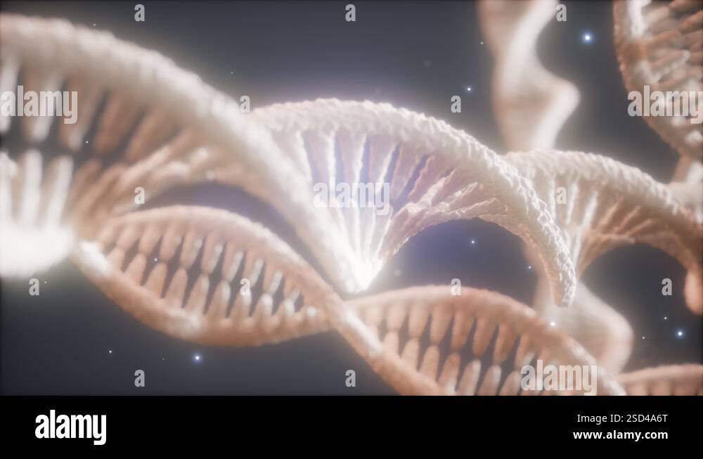 double helical structure of dna strand close-up animation Stock Video ...