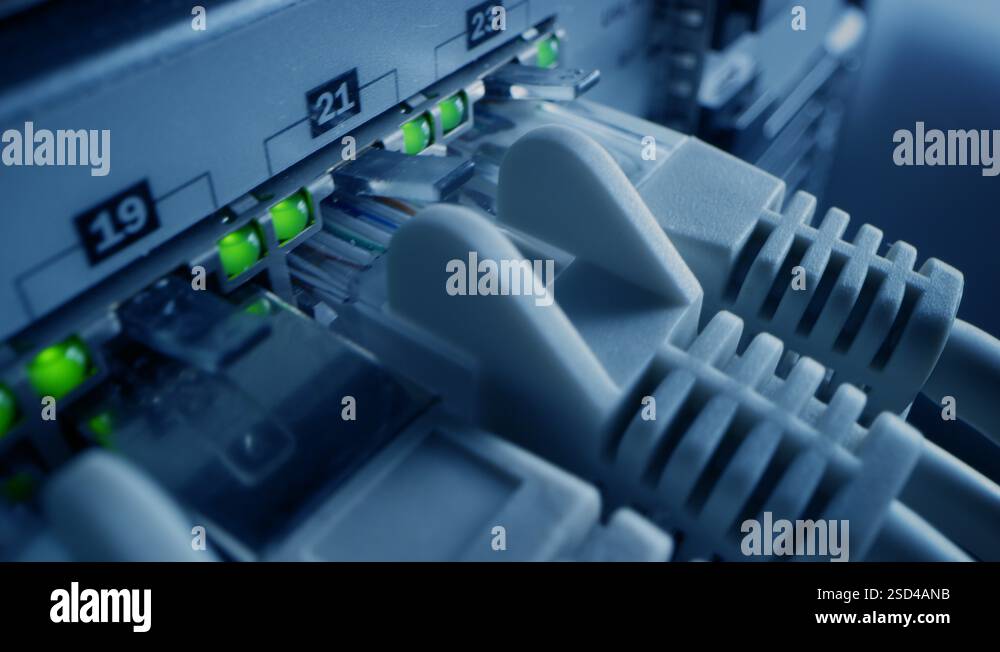 Macro Shot: Ethernet Data Cables Connected to Router Ports with ...