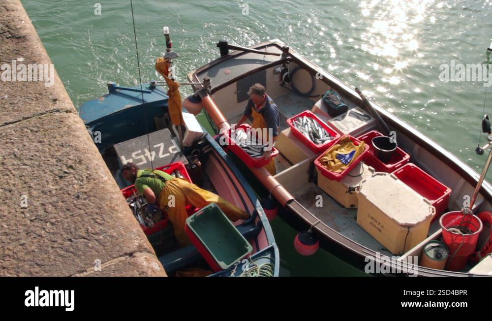 fishermen landing their catch from boats at harbour wall, st ives ...