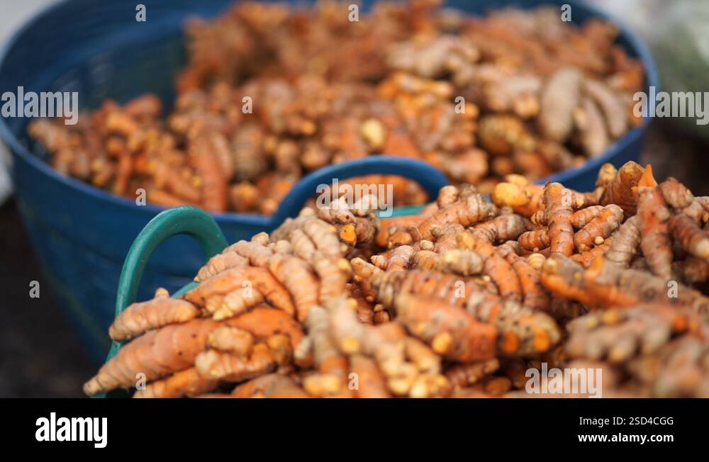 many turmeric in thai market Stock Video Footage - Alamy