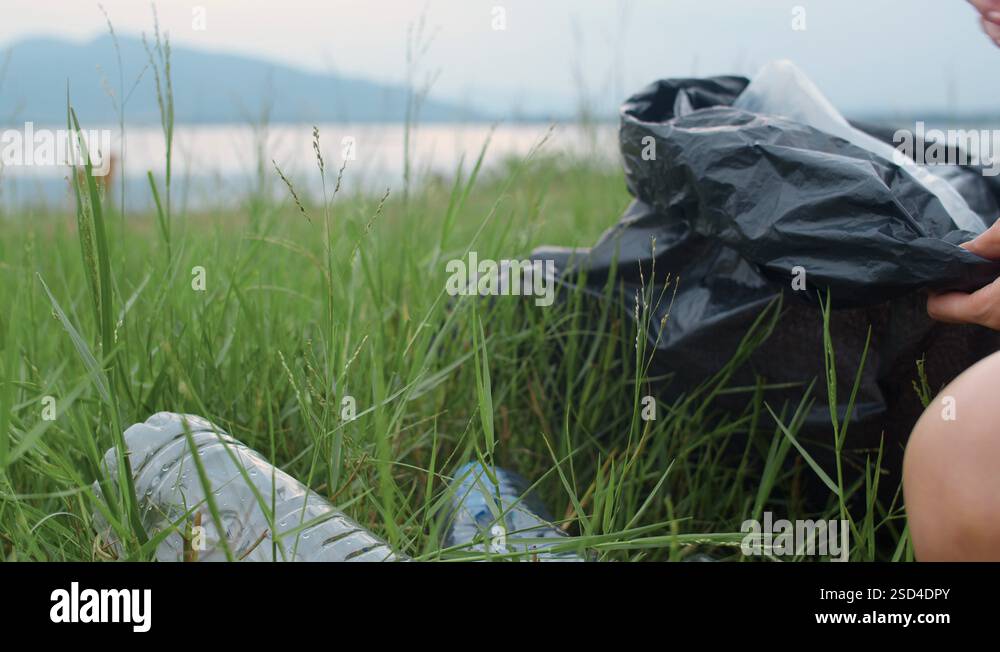 Korean lady volunteers help to keep nature clean up and pick up garbage ...