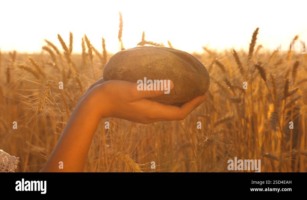 ripe grain is poured on delicious bread. Slow motion. wheat grains fall ...