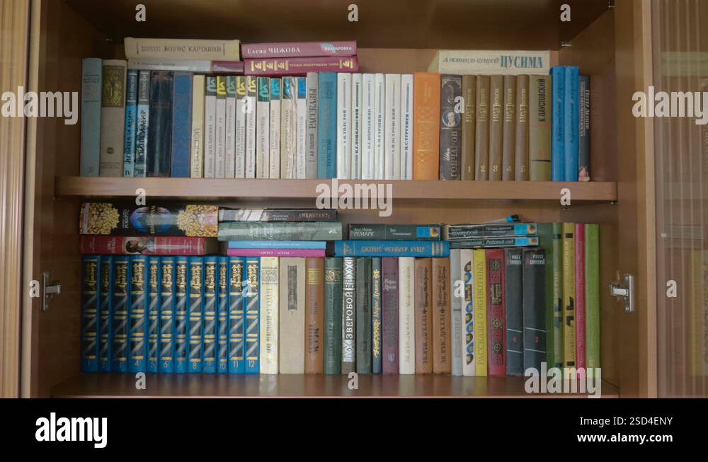Many rows of books on a shelf in the closet in the interior of the ...