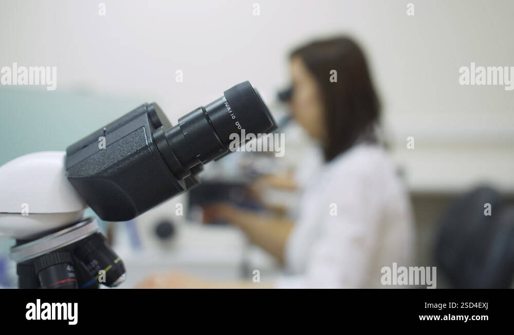 Microscope cytology Stock Videos & Footage - HD and 4K Video Clips - Alamy