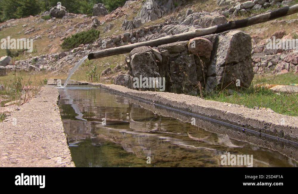 Natural water source with stone channel. Natural spring of water Stock ...