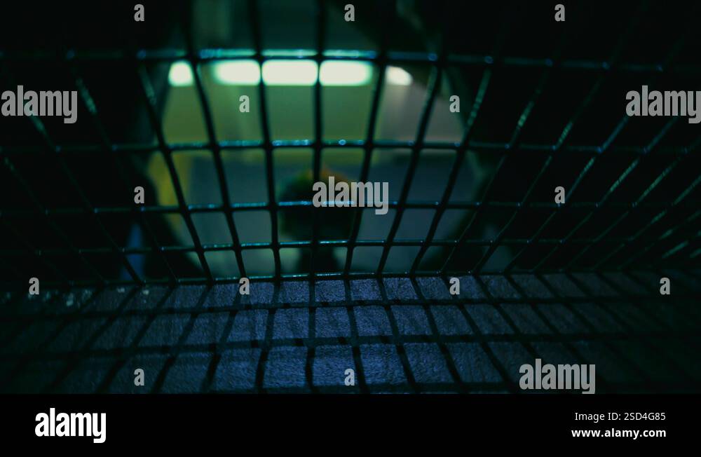 Horror scene with a scary clown in colored wig. Crazy Clown pouncing on ...