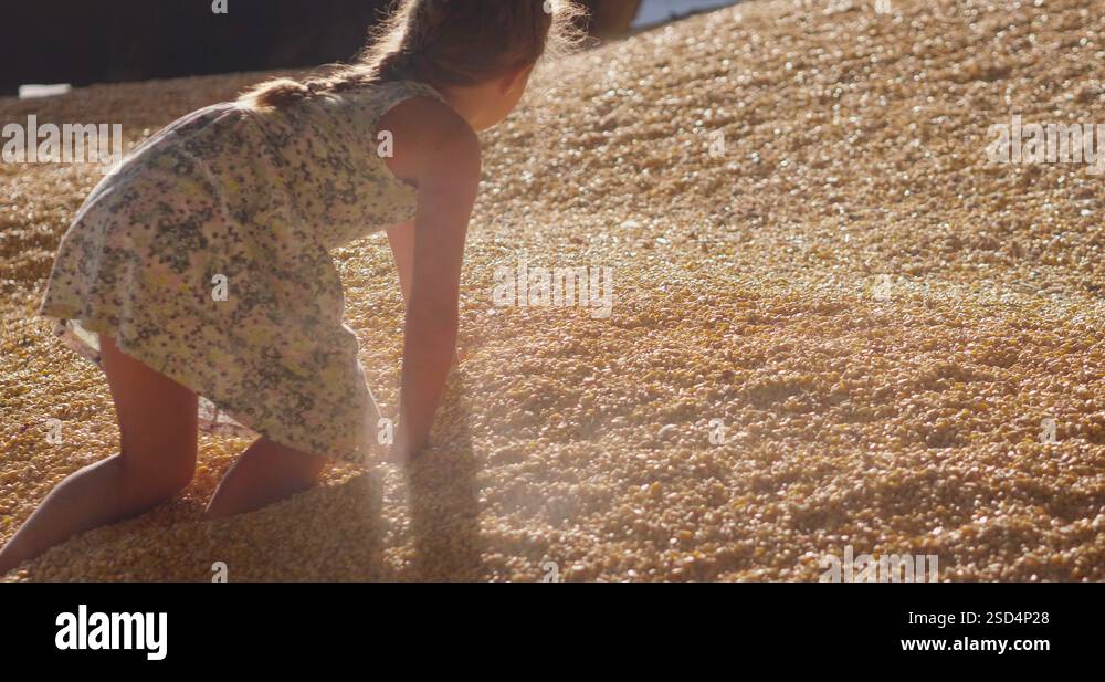 A cute little girl is having fun to play with corn grains in ...