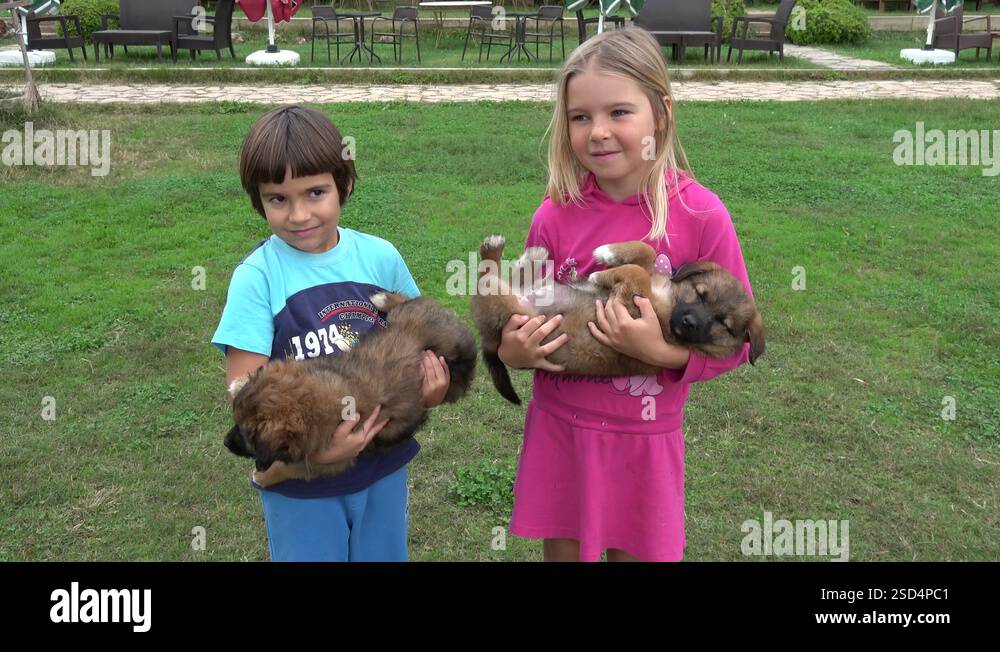 Two children holding their puppies on their hands Stock Video Footage ...