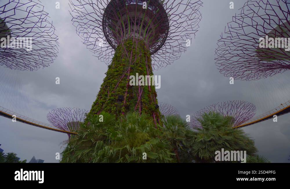 Supertree singapore Stock Videos & Footage - HD and 4K Video Clips - Alamy