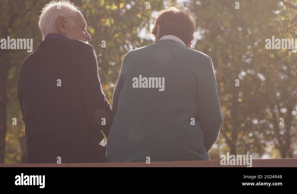 Back View Of Happy Caucasian Old Couple Sitting In Bench And Hugging ...