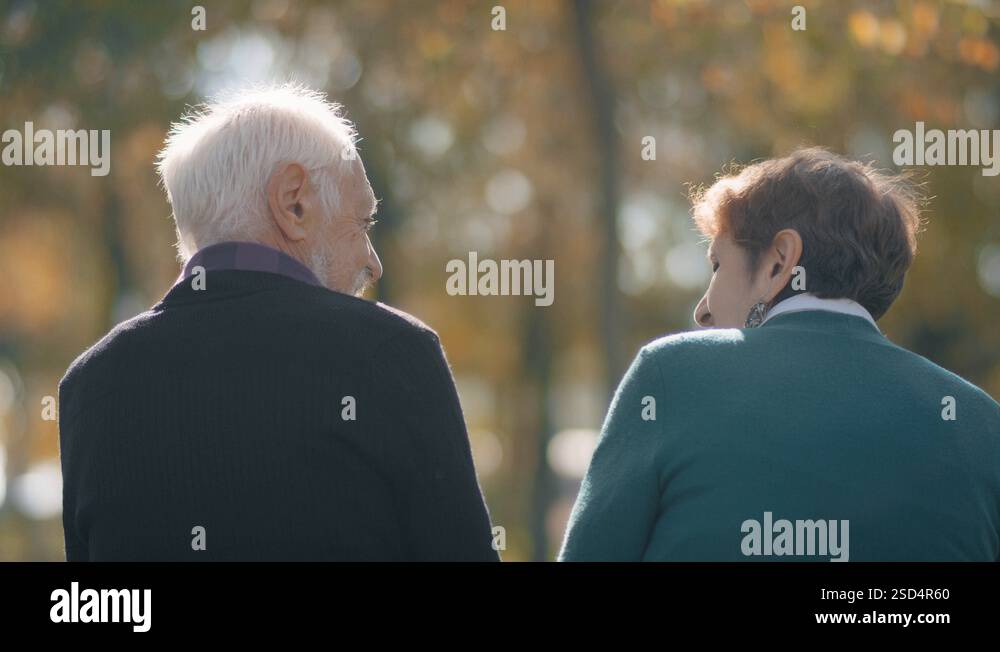Back view of happy caucasian old couple sitting in bench and hugging ...