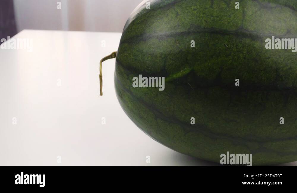 Big green watermelon lies on a white table Stock Video Footage - Alamy