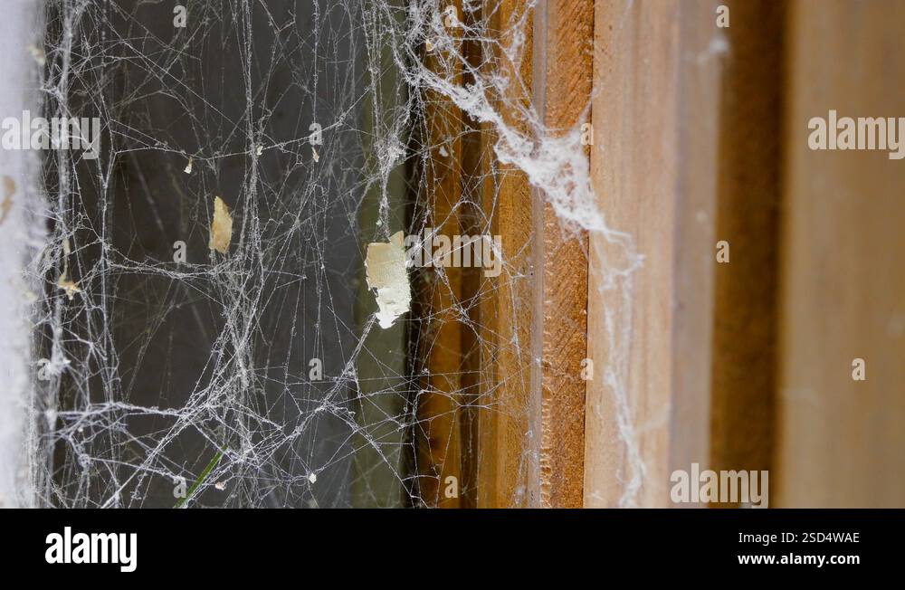Cobwebs being removed with a vacuum cleaner from behind wooden ...