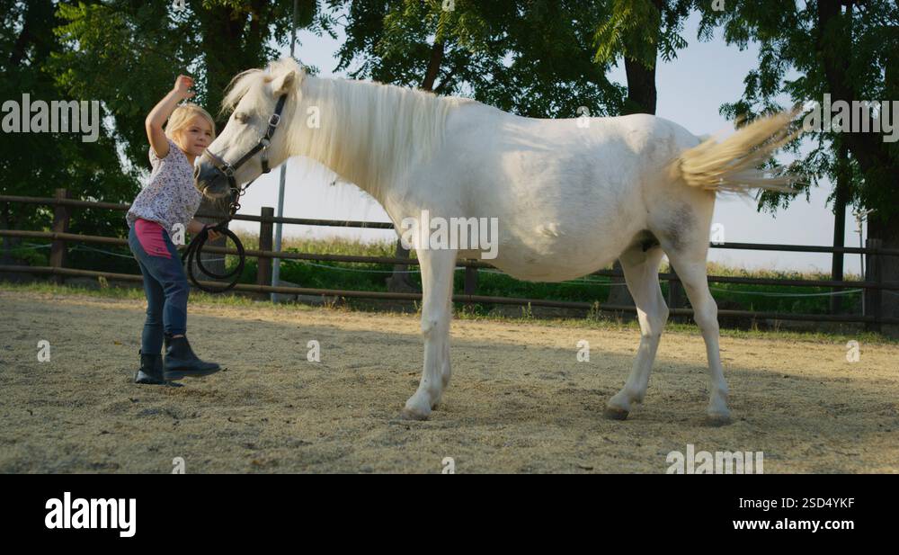 A cute little girl is caressing a white pony horse at riding stable ...