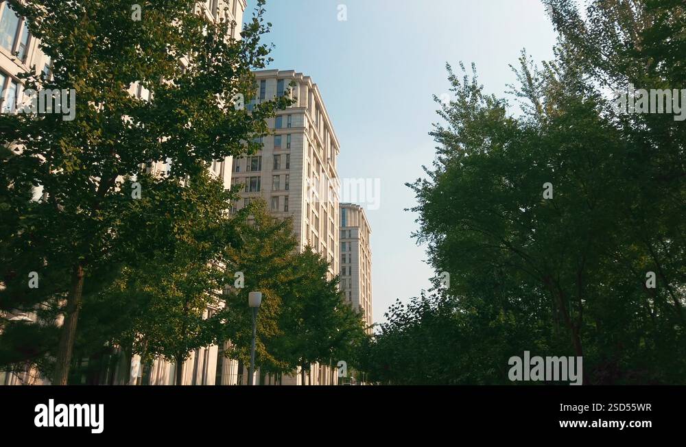 TS Trees and buildings in city, Beijing Stock Video Footage - Alamy